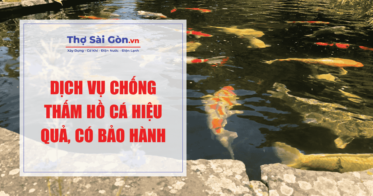 Dịch vụ chống thấm hồ cá hiệu quả, có bảo hành - Thợ Sài Gòn - Trung ...